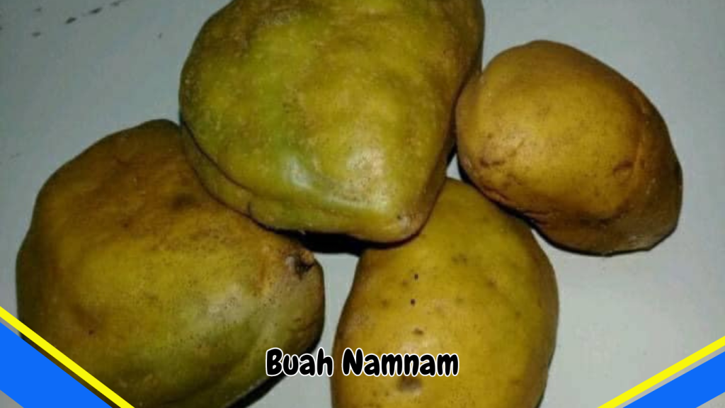 Buah Namnam: Ketahui Nutrisi dan 4 Manfaatnya untuk Tubuh - Accumini