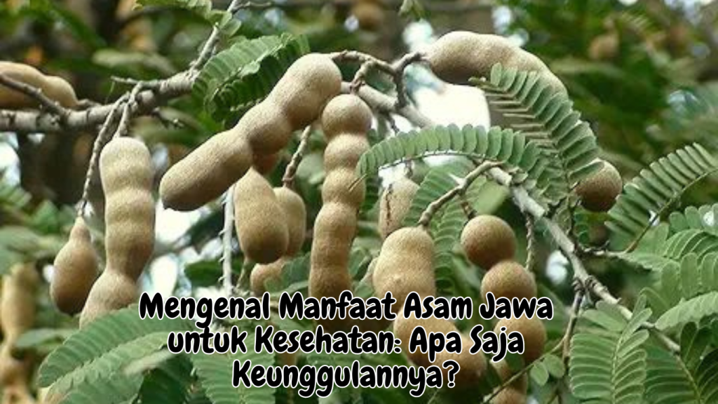 Mengenal 10 Manfaat Asam Jawa untuk Kesehatan: Apa Saja Keunggulannya? - Accumini