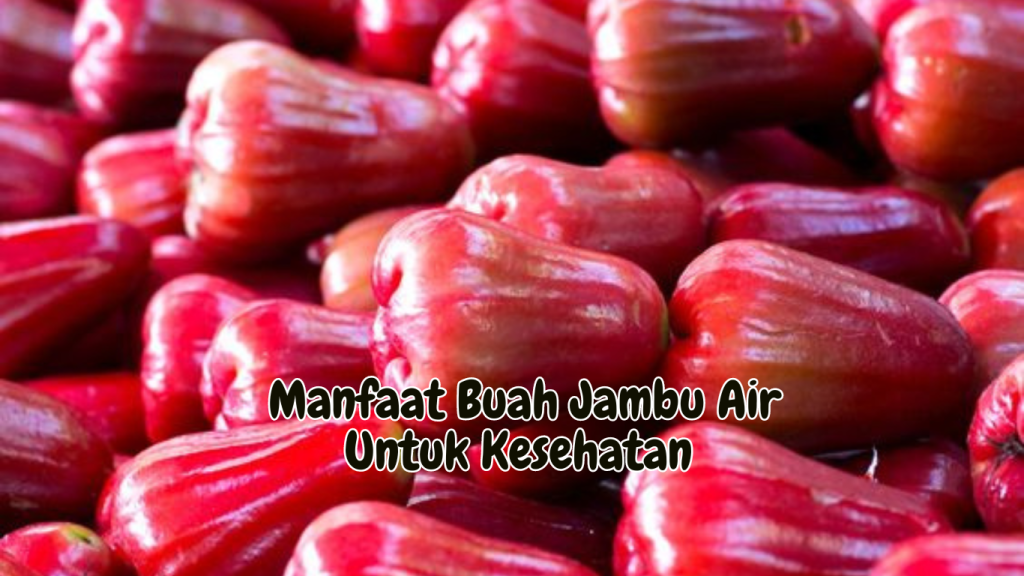 10 Manfaat Buah Jambu Air Untuk Kesehatan, Kenali Buah Segar yang ...