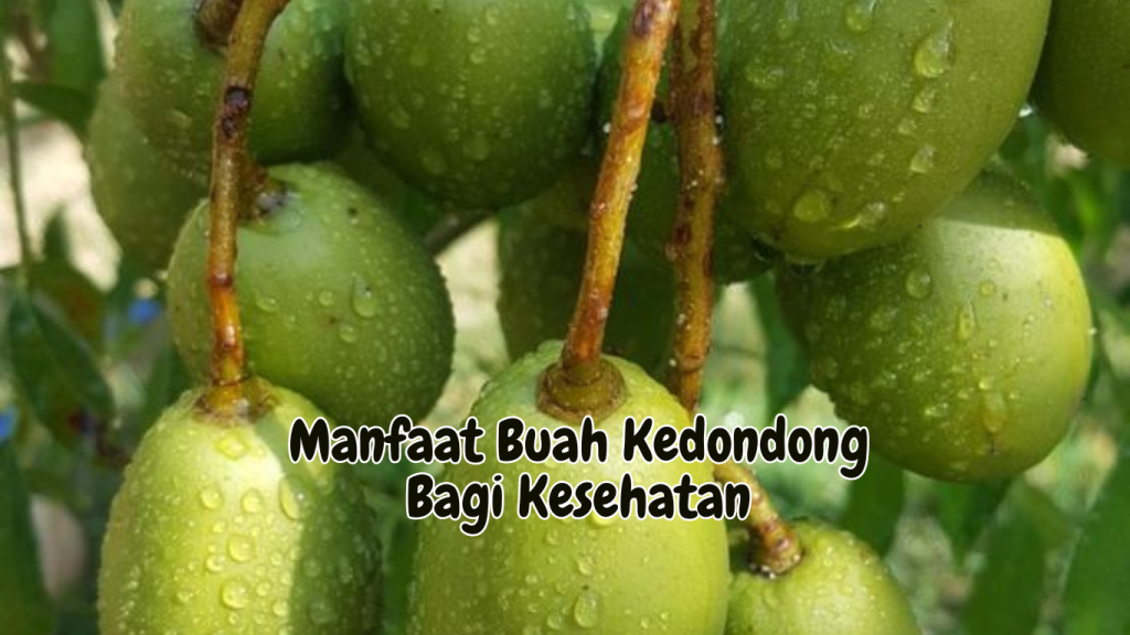 10 Manfaat Buah Kedondong Bagi Kesehatan: Buah Tropis yang Banyak di ...