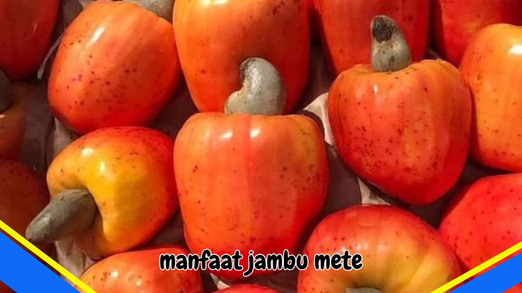 6 Manfaat Jambu Mete Untuk Kesehatan - Accumini