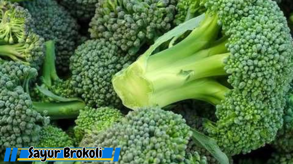 9 Manfaat Brokoli untuk Kesehatan yang Perlu Diketahui - Accumini