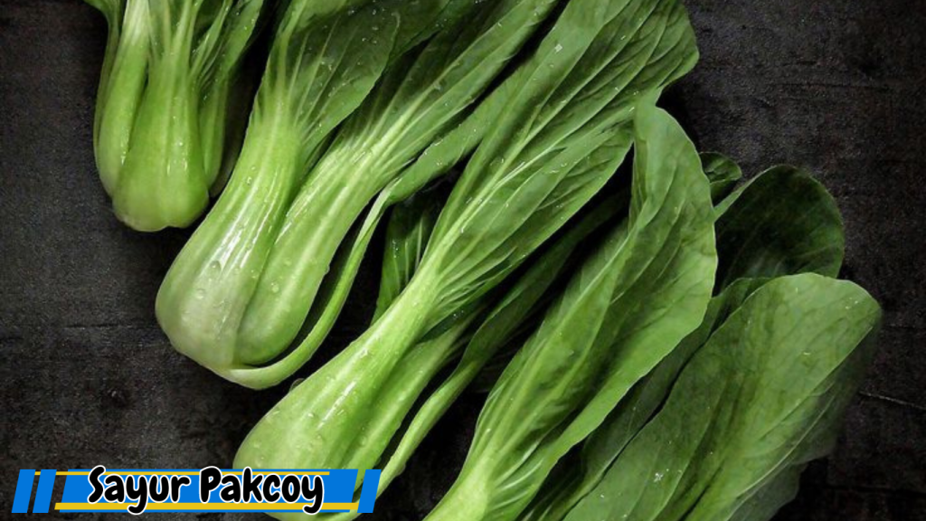 8 Manfaat Makan Sayur Pakcoy untuk Kesehatan - Accumini