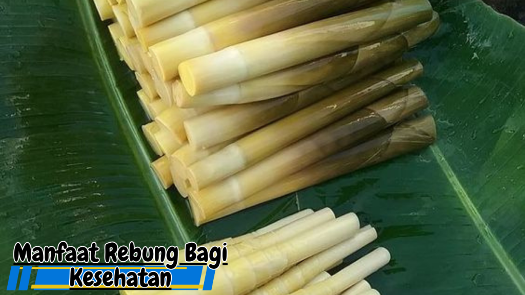 12+ Manfaat Rebung Bagi Kesehatan yang Jarang Diketahui - Accumini