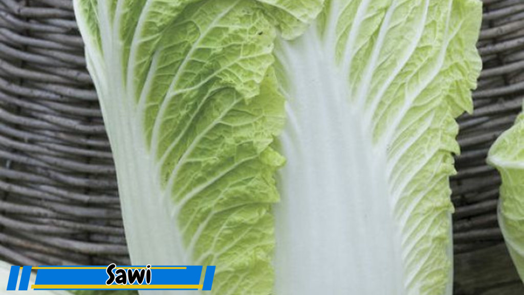 10 Manfaat Sayur Sawi: Lebih dari Sekadar Sayuran Hijau - Accumini